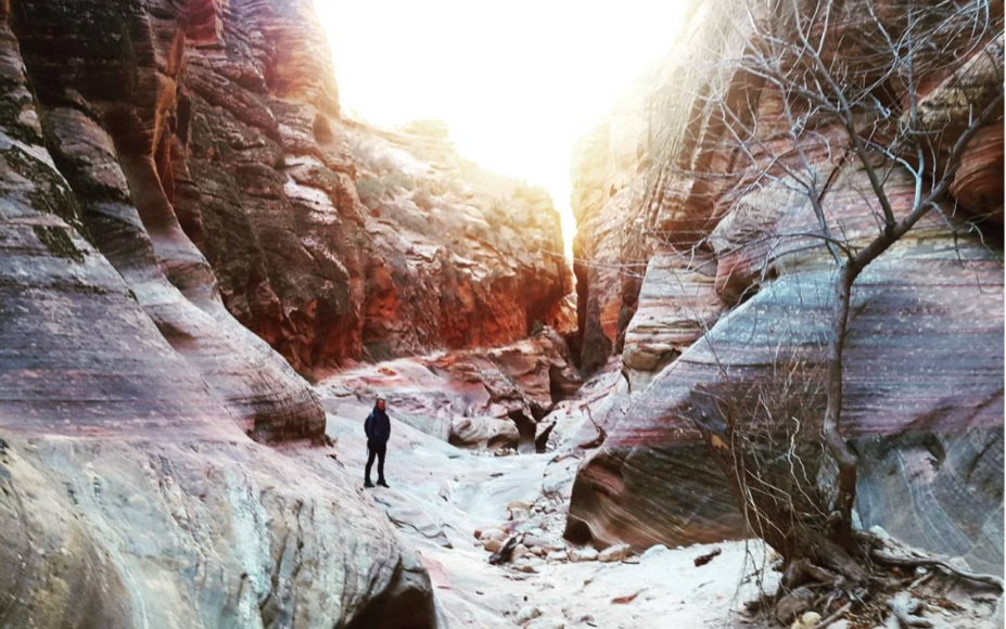 Road Trip Tips: USA - BudgetTraveller