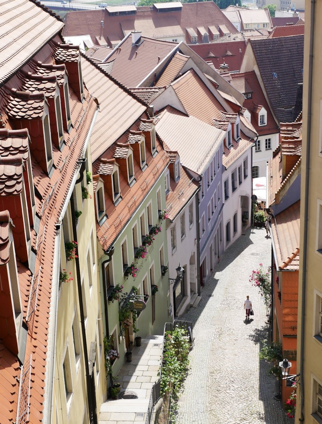 48 Hours in Meissen, the Porcelain city of Germany - BudgetTraveller