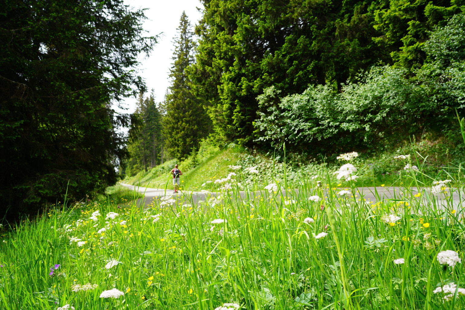 Things to do in Chur- Where to go, eat and drink + sleep - BudgetTraveller