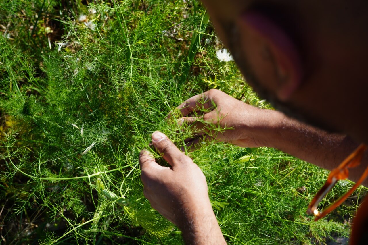 Discovering Malta, with no smartphone or guidebook - BudgetTraveller