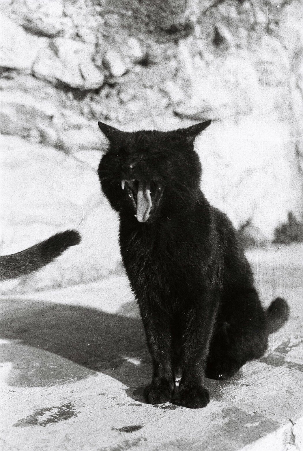 12 years a digital nomad- Reflections and life coming full circle ...